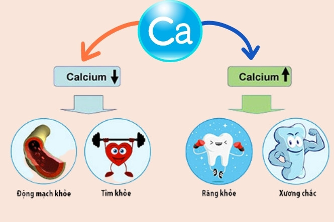 Cách bổ sung canxi hữu cơ cho người lớn để xương chắc khoẻ